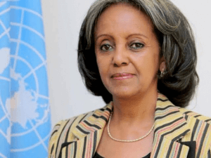 Sahle-Work Zewde Biography : All You Need To Know - The Fintech Africa